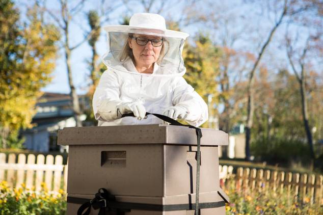 Aronsborgs Konferenshotell - Konferenspoolen